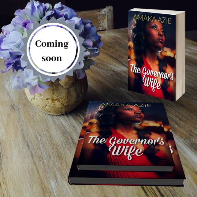 The Governor’s Wife— Preview - Amaka Azie